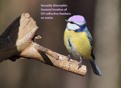 Male And Female Dont Look Alike — But We Cant See It Outside My Window