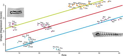biplot of regression of shape y axis onto cs x axis taxa are color