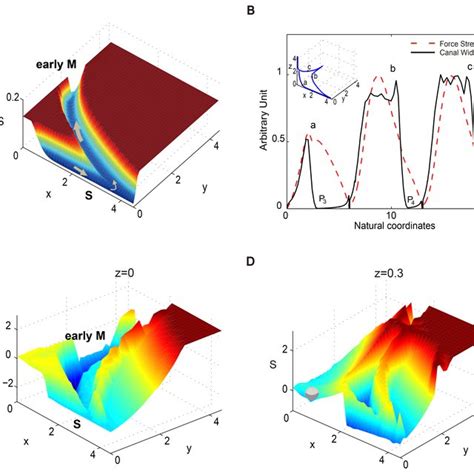 The Model Of The Three Node Yeast Cell Cycle Network A The Network Download Scientific