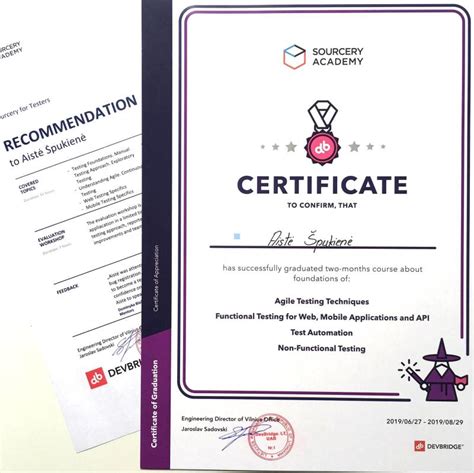 aistė Š on linkedin completed sourceryacademy testing