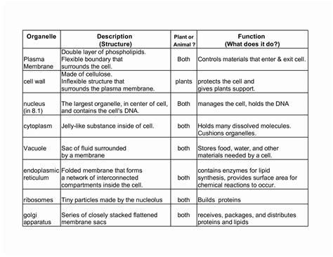 Cell Organelles Worksheet Answer Key Db Excel Com