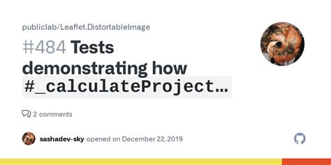 Tests Demonstrating How `calculateprojectivetransform` Works · Issue