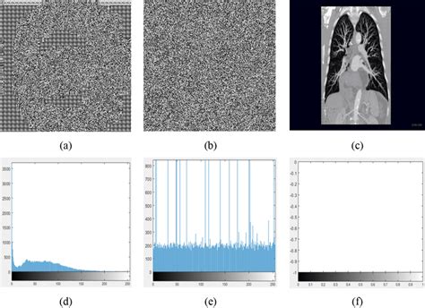 Ct Image Output Based Dwt Em Encryption A The Edge Map Output From