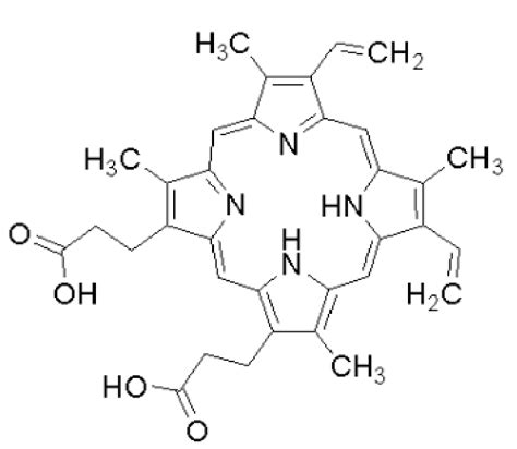 Molecular Structure Of Pp Ix Download Scientific Diagram