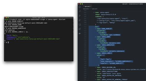 Sensu [whitepaper] The Top 7 Kubernetes Apis For Cloud Native