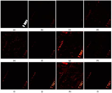 Remote Sensing Special Issue Imagery Classification And Feature Extraction Based On
