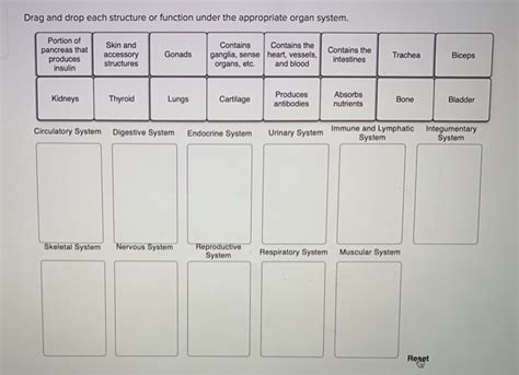 Solved Drag And Drop Each Structure Or Function Under The