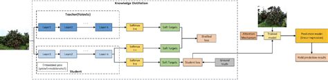 Figure 2 From Production Evaluation Of Citrus Fruits Based On The