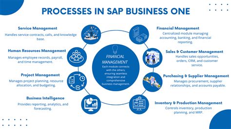 processes in sap business one name of the basic processes in sap… by