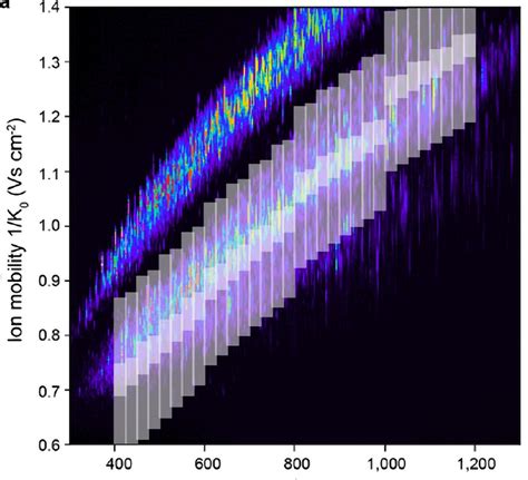 4d Proteomics Bruker