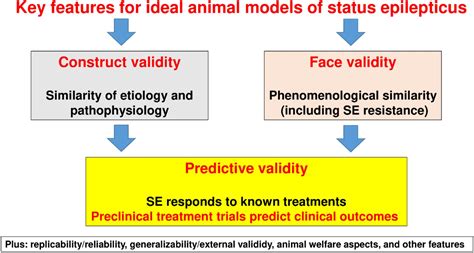 Mammalian Models Of Status Epilepticus Their Value And Limitations Epilepsy And Behavior