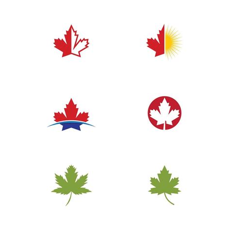 Maple Leaf Vector Icon 13637186 Vector Art At Vecteezy