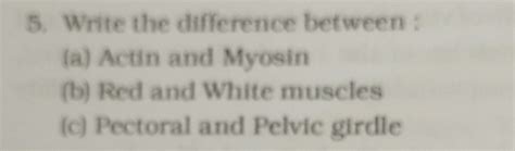 Write The Difference Between A Actin And Myosin B Red And White Mus