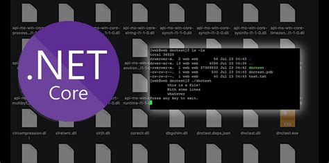 Creating And Trimming Self Contained Executables In Net Core A Detailed Guide Hackernoon