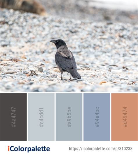 32 Raven Color Palette Ideas In 2026 Icolorpalette
