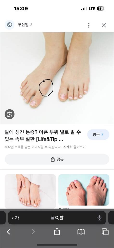 신체부위 발 명칭 잘 아시는분~ Ea Fc 온라인 에펨코리아