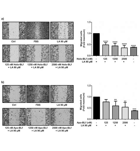 Blf Inhibits Migration Induced By La A And B Migration Assays Of