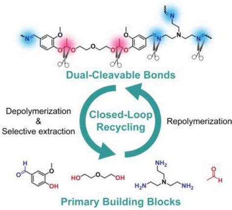 Closed‐loop Recyclable Polyimine‐acetals With Dual‐cleavable Bonds