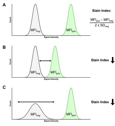 Flow Cytometry The Complete Guide