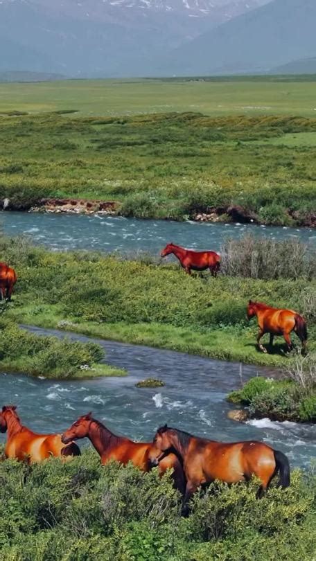 Post 759746166034513920 Buzz London Tumblr Com Tumbex Post 759746166034513920 Buzz London Tumblr Com Tumbex