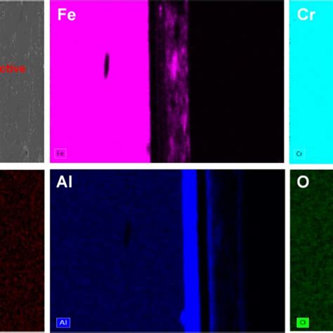 Cross Section Showing The Microstructure And Chemical Properties Of The