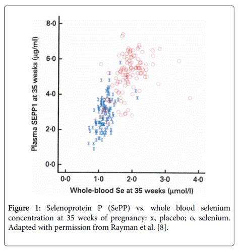 Selenium In Pregnant Women Mini Review