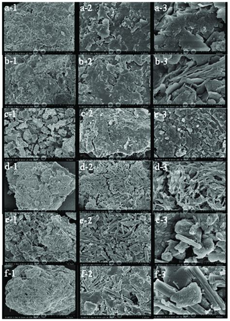 Scanning Electron Microscopy Micrographs Of An Untreated Sample And