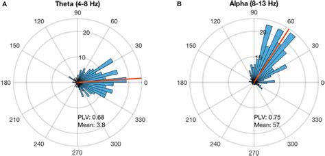 Frontiers A Real Time Phase Locking System For Non Invasive Brain Stimulation Neuroscience