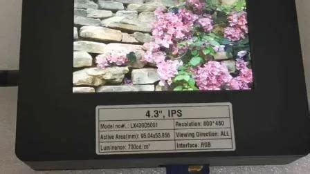 Professional Inch LCD Module With RGB Interface Lcd Display And Lcd Module Price