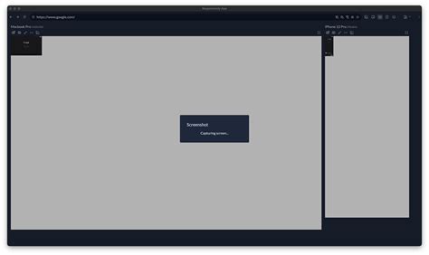 app gets stuck when taking full page screenshot · issue 1050