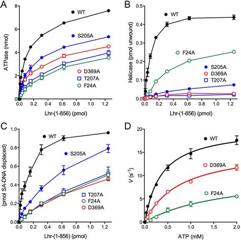 Mutational Analysis Of The Atp Site A Atpase Activity Was Assayed As