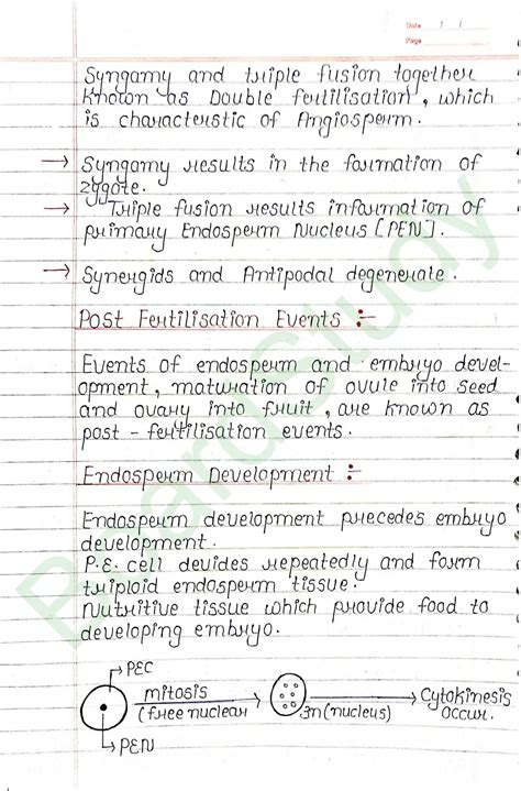 Ncert Class 12 Biology Sexual Reproduction In Flowering Plants Notes