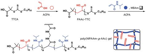 Polymers Free Full Text On The Potential Of Using Dual Function Hydrogels For Brackish Water