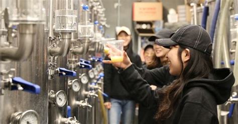 수제맥주 4캔 1만원 열리나 캔제품 출시 쉬워진다