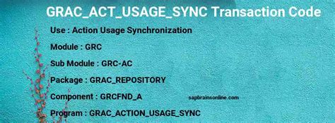 GRAC ACT USAGE SYNC SAP Tcode For Action Usage Synchronization