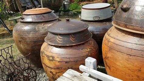 야생화가게 사장님하소연 야생화재배 야생화창업 부안타샤아저씨의 일상 야생화손님 Youtube