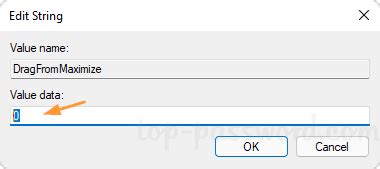 How To Prevent Dragging A Maximized Window In Windows Password Recovery