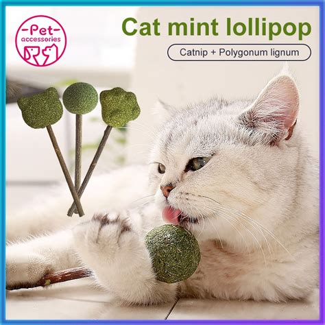 Cat Catnip Lollipop Kitten Mint Snacks Shopee Philippines