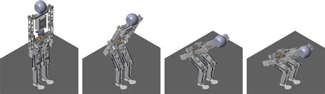 Animation Of A Balanced Squatting Download Scientific Diagram