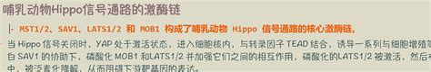 【已解决】标题下 tab 及缩进后空行 tab 会变代码块，如何解决？ 疑问解答 obsidian 中文论坛
