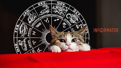 Гороскоп на 4 жовтня для всіх знаків Зодіаку не час відпочивати треба діяти