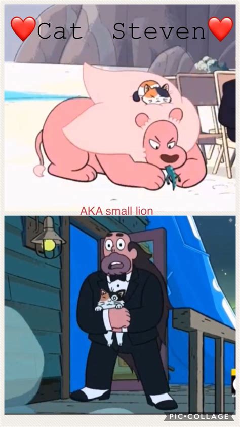 Adorable Cat Steven In Steven Universe
