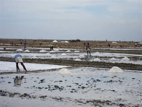 How Ghana Can Harness The Potential Of Salt Mining In Mankessim