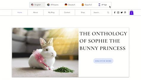Wix Multilingual Using Multi State Boxes To Switch From Ltr To Rtl Help Center