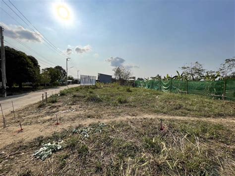 📍 วางผัง ปักหมุด ตำแหน่งขุดหลุม 👷🏼‍♂️ เตรียมงานสำหรับงานฐานราก ภัทราศิริเฟส2 บ้านเดี่ยวชั้น