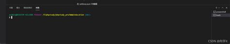 vscode添加gitbash终端（最新） vscode里面添加git bash终端 csdn博客