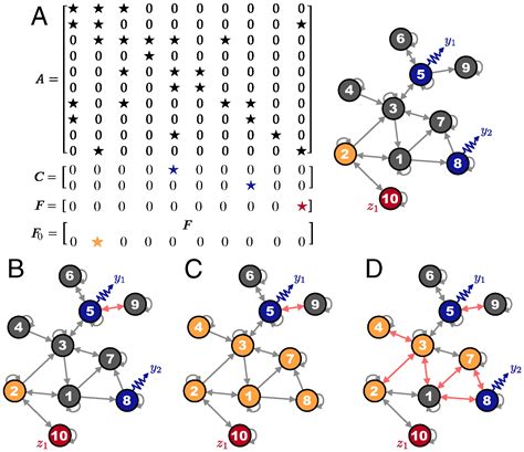 functional observability and target state estimation in large scale
