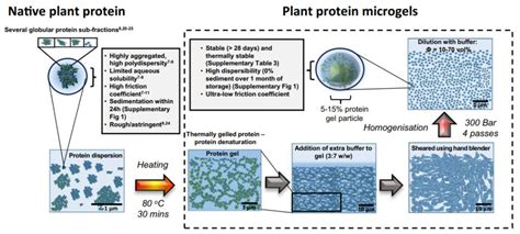 Creating High Performance Lubricating Microgels From Sustainable Plant