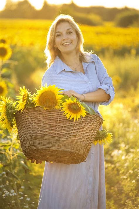 Smiling Happy Woman With Basket Of Sunflowers In Sunflower Field At