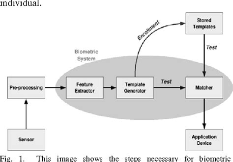 Figure 1 From Mouse Biometric Authentication Semantic Scholar